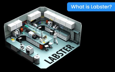 Labster Answers: Expert Solutions for Lab Queries